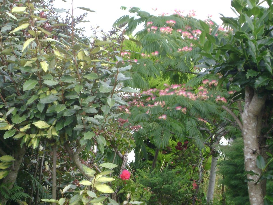 Globetrotting Gardener | A Travel & Garden Blog